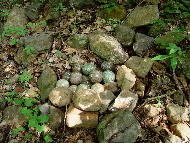 De Monstris - Monstrology: The Rock Nest Monster: Exclusive Testudines